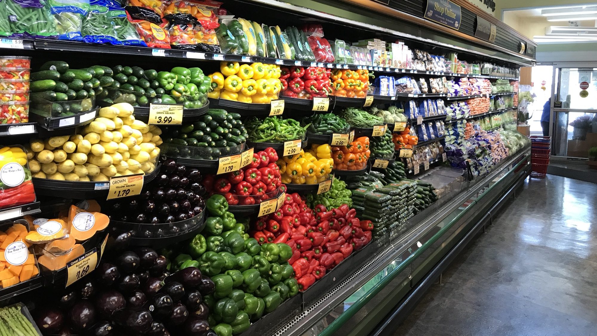 Contact – Noah Katz